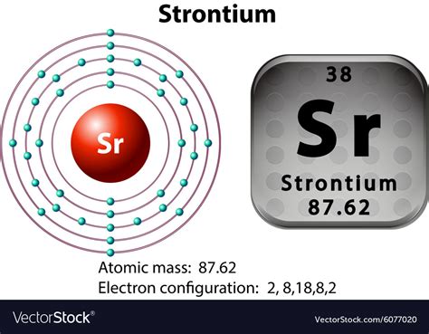 Symbol And Electron Diagram For Strontium Vector Image