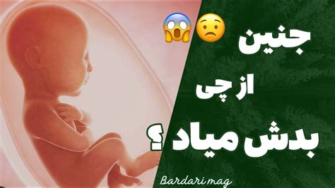12 مورد ممنوع که جنین رو ناراحت میکنه 😱😩 جنین از چی بدش میاد ؟؟ Youtube