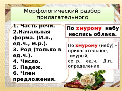 Морфологический Разбор Существительного 6 Класс Картинки – Telegraph