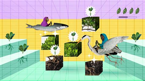 Giocare Con Le Mangrovie Per Immaginare Futuri Riccardo Silvi