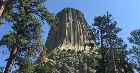 Was A Giant System Of Roots Discovered Below The Devils Tower Rock Formation
