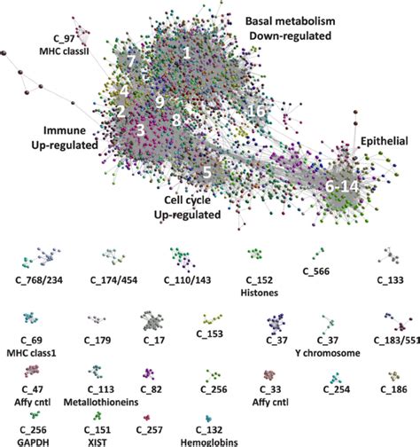 Pairwise Gene Expression Correlation Network Analysis Of Microarray
