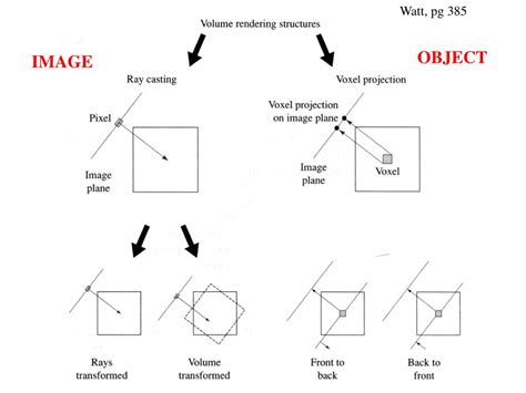 Ppt Volume Rendering And Shear Warp Factorization Powerpoint