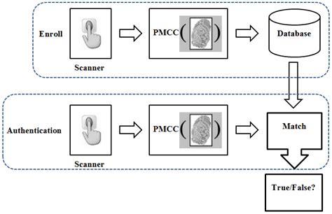 Fingerprint Biometric Authentication Download Scientific Diagram