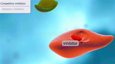 Enzyme Inhibition Stock Footage Video Of Uncompetitive 341375008