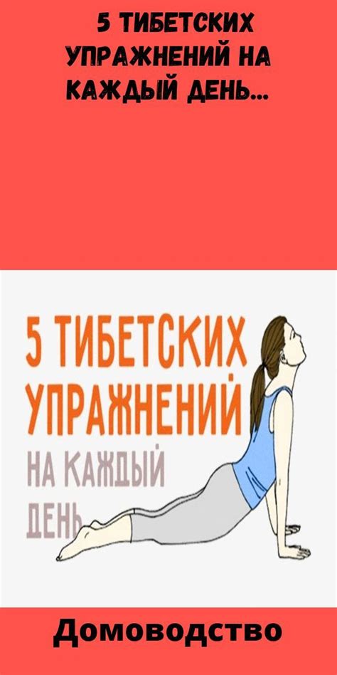 Домоводство Упражнения Упражнение для начинающих Тренировки мышц живота
