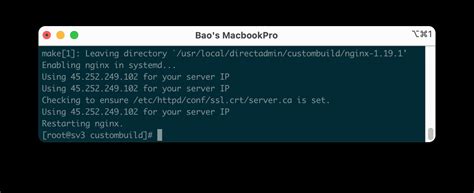 hướng dẫn reverse proxy nginx apache directadmin với 5 lệnh