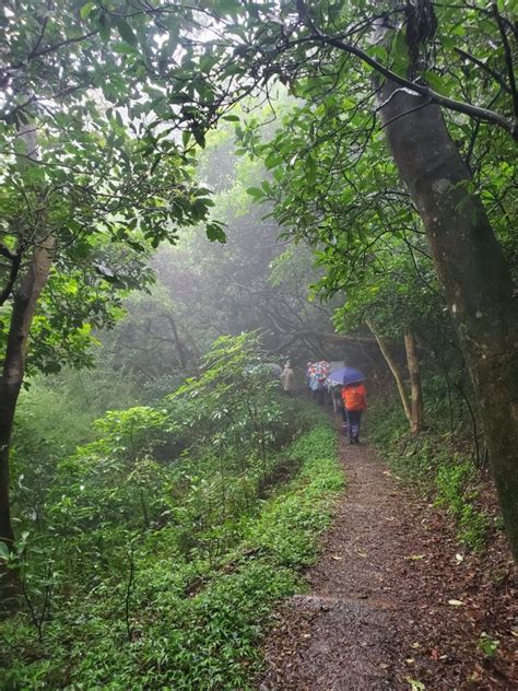 南天宮南崁山五酒桶山公園8字走 健行筆記