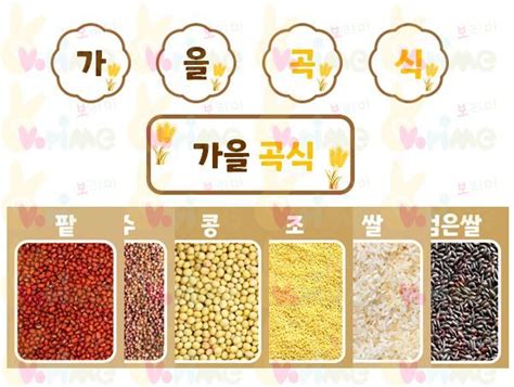 Materials Can Be Downloaded From Naver Cafe Borimi Vorime나 Borimi