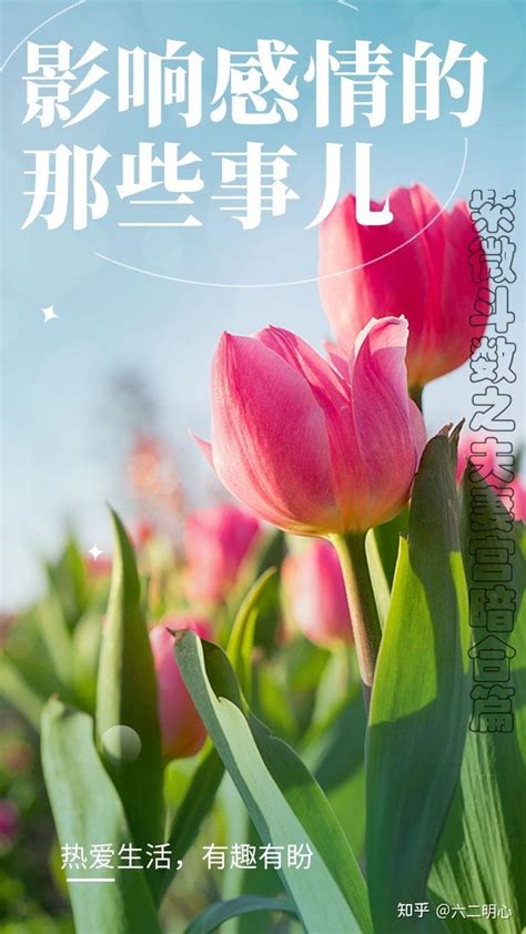 影响感情的那些事儿紫微斗数之夫妻宫暗合篇 知乎