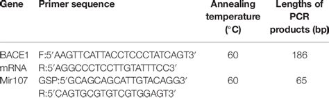 The Sequence Of Primers Used For The Rt Pcr Of Bace1 Mrna And Mir107 Download Table