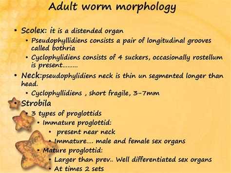 Helminths Cestoda Trematoda Nematoda Ppt Download