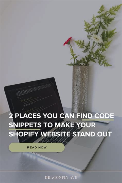2 Places You Can Find Code Snippets To Make Your Shopify Website Stand Out