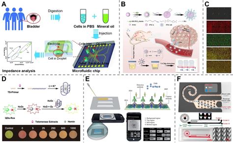 Microfluidic Devices Developed Based On Droplet Microfluidics Download Scientific Diagram