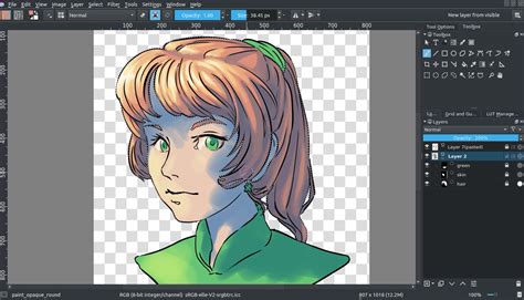 Flat Coloring — Krita Manual 5 2 0 Documentation