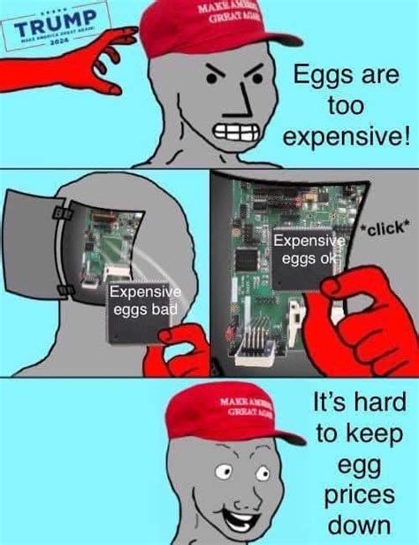 What An Odd Behavior Album On Imgur