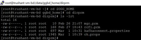 Oracle Goldengate Big Data Adapters Use Cases Architecture With