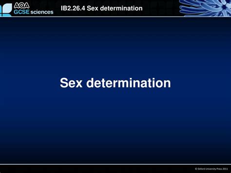 Ppt Sex Determination Powerpoint Presentation Free Download Id