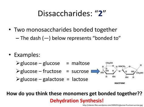 Carbohydrates Ppt Download