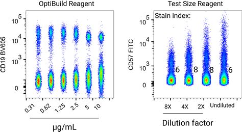 How To Do Antibody Titration At Blanche Sedillo Blog