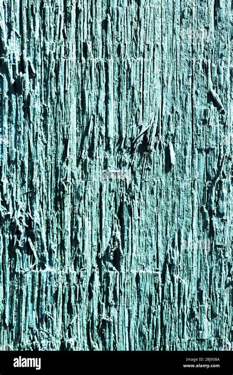 Wood Tree Texture Background Stock Photo Alamy