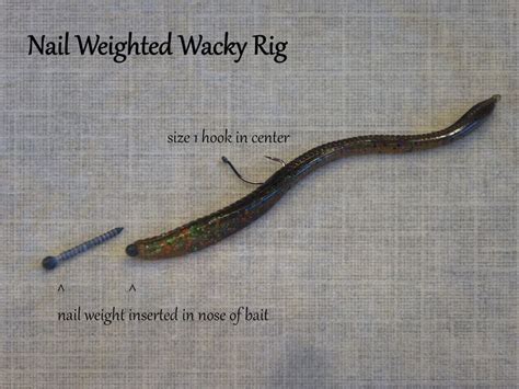 Nail Weighted Wacky Rig Fishing Rigs Bass Fishing Trout Fishing Bait