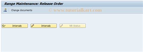 RLMFW NUM SAP Tcode Number Ranges For Release Management