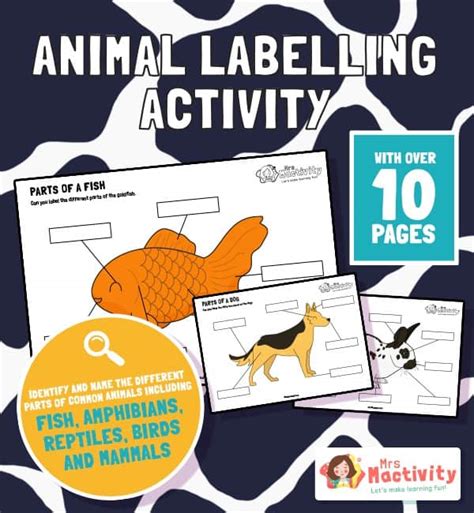 Differentiated Animal Labelling Activity Mrs Mactivity