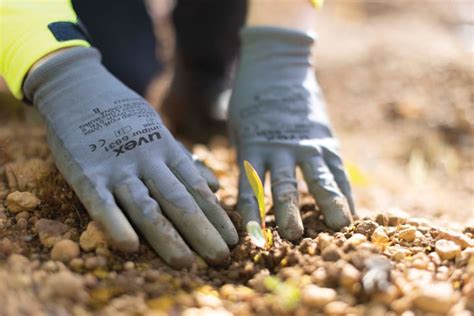 Sustainable Evolution In The Mining Industry Mining Magazine Australia