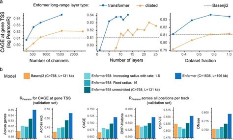 Comparison To Dilated Convolutions A Enformer With Original Download Scientific Diagram