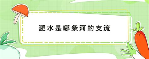 淝水是哪条河的支流 鲜淘网