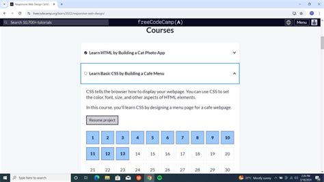 Kosisochukwu Chibuike On Linkedin Coding Freecodecamp Css