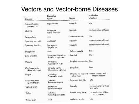 Ppt Vector Borne Disease And Health Powerpoint Presentation Free