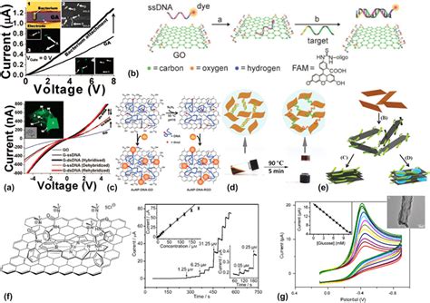 Dna And Porphyrin Functionalized Graphene A Left Single Cell