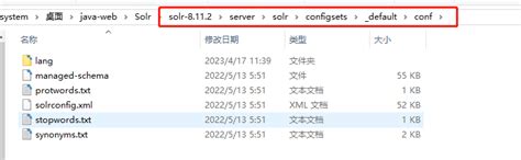 Apache Solr Rcecnvd Okaytc