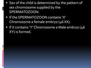 Fertilizationimplantation And Fetal Development Pptx
