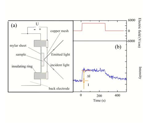 A Scheme Of Experiment With An External Electric Field A A Typical Download Scientific