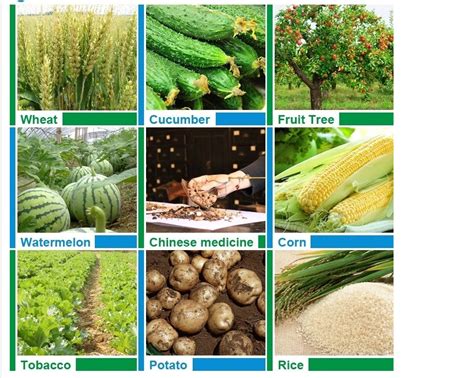 Buy Wholesale China Mn 13 Edta And Edta Fertilizer Agriculture At Usd 1100 Global Sources