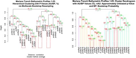 Hierarchical Clustering With P Values Using Multiscale Bootstrap Download Scientific Diagram