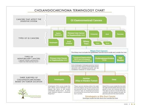 Treatment Options Cholangiocarcinoma Australia