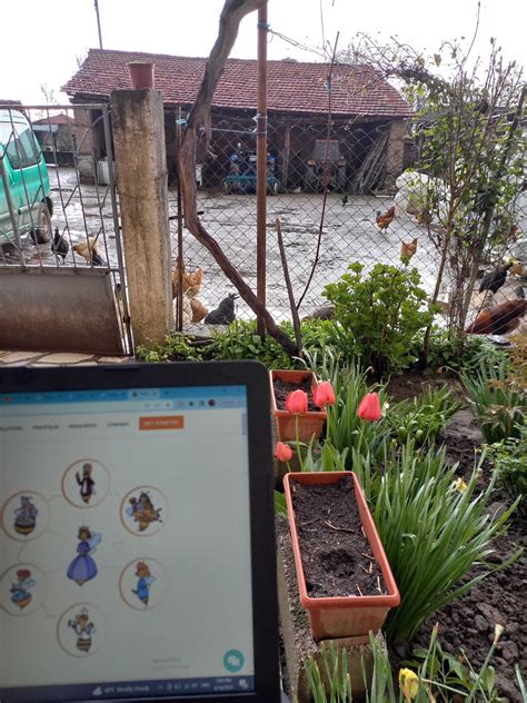 Aleksandar Stojkovski On Linkedin Workingremotely Workfromhome