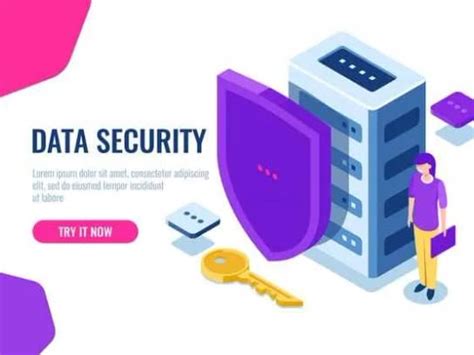 What Are The Best Programming Languages For Database Developers Moldstud