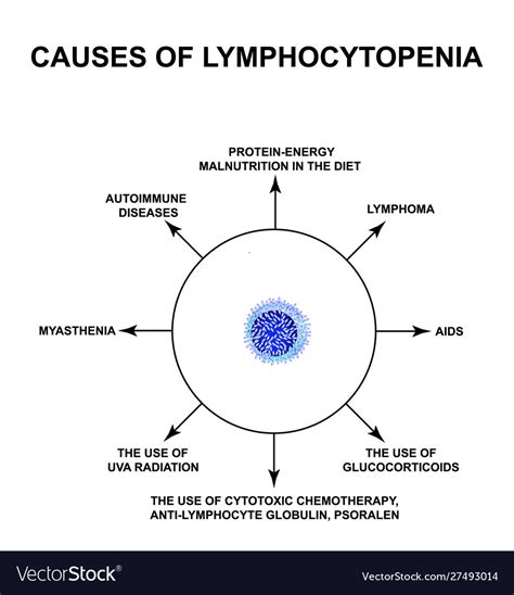 What Causes Lymphocytes To Drop Fzpy