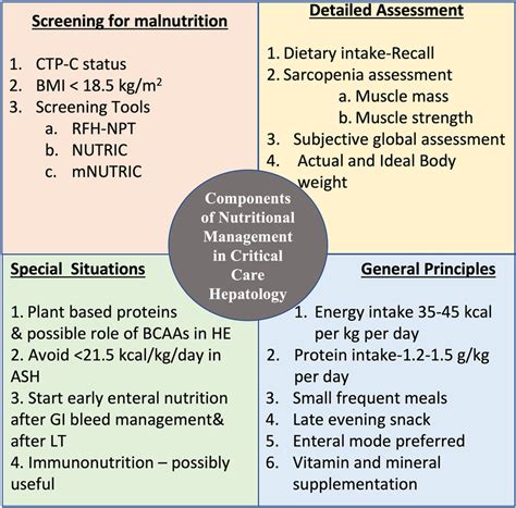 Proposed Components Of Nutritional Assessment And Management In The Download Scientific Diagram