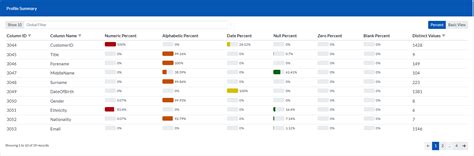 Data Quality User Documentation Profiling Overview