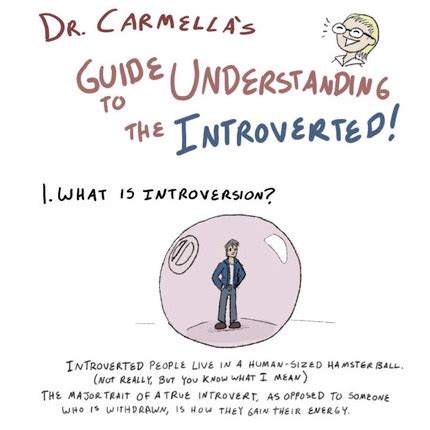 Guide To Understanding The Introverted Infographic Botcrawl