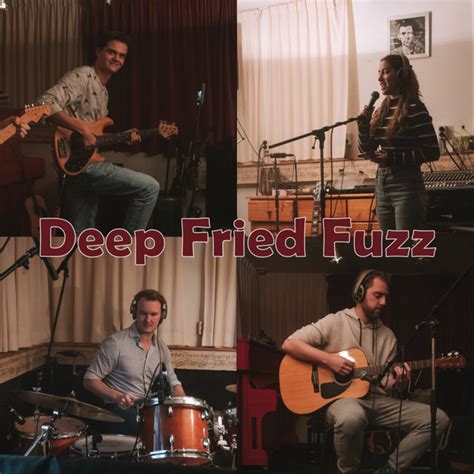 Deep Fried Fuzz Songs List Genres Analysis And Similar Artists Chosic