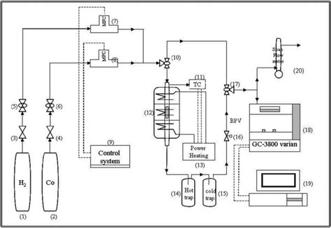 Experimental Reactor Setup Kinetics Modeling Of Olefin Synthesis On Download Scientific