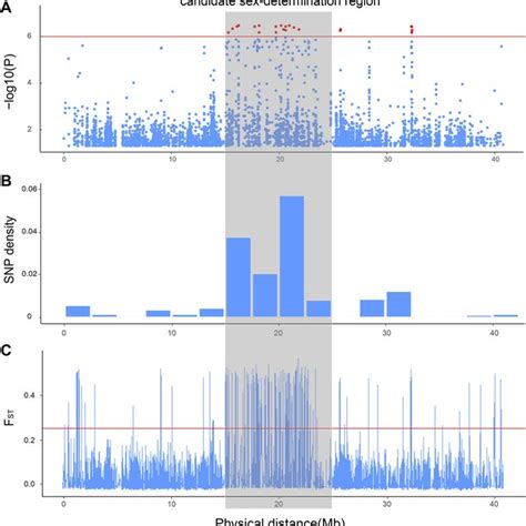 Identification Of Candidate Sex Determination Regions On Chromosome 4 Download Scientific