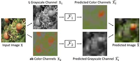 Image Classification Using Split Brain Autoencoder Data Science Portfolio